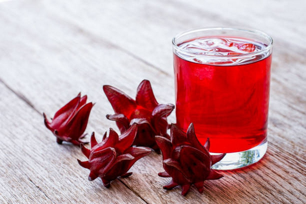 Những tác hại ít biết của hoa atiso đỏ bạn cần lưu ý | Vietnam+ ...
