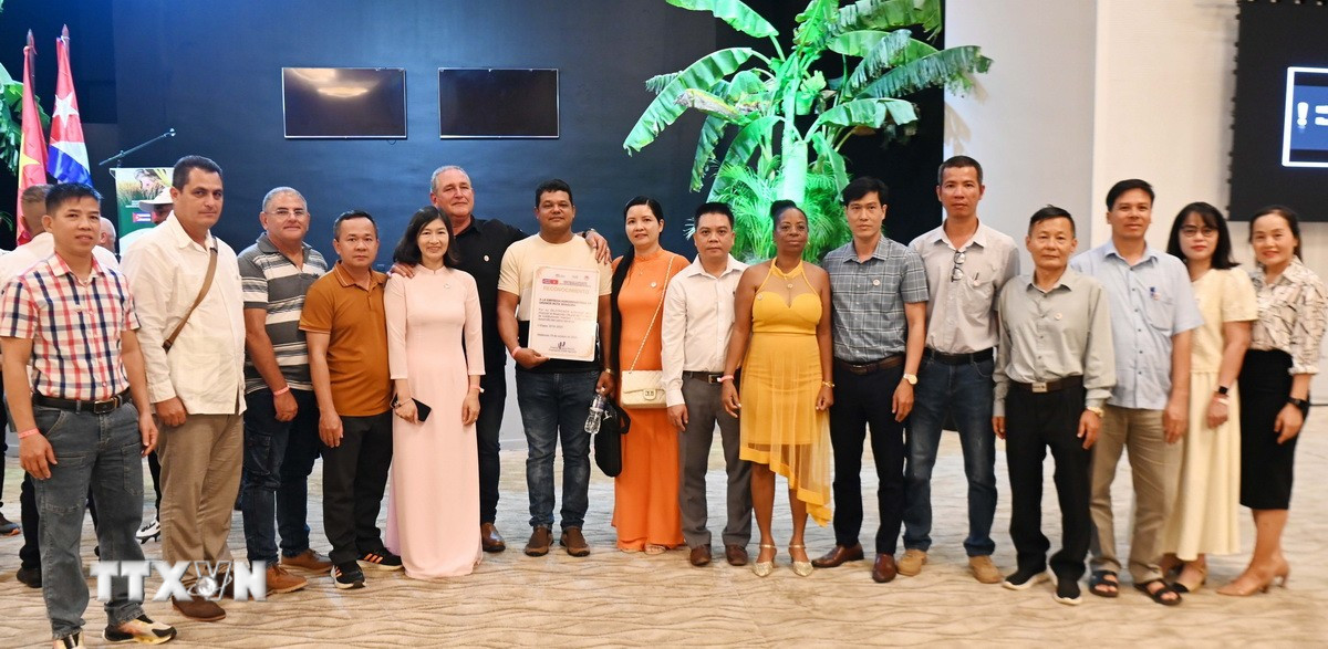 Hợp tác Việt Nam-Cuba thành công trong sản xuất lúa gạo | Vietnam+ ...