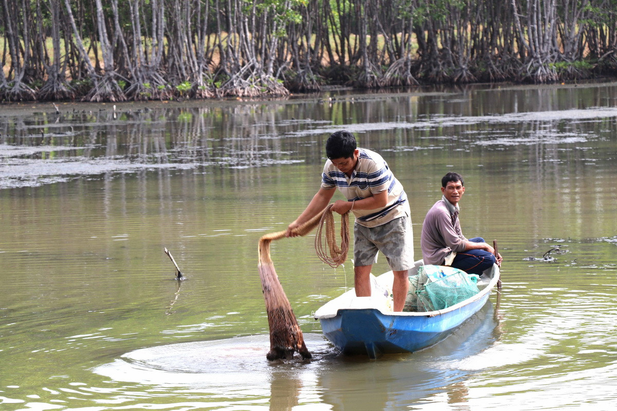 Bình yên dưới tán rừng ngập mặn | Vietnam+ (VietnamPlus)