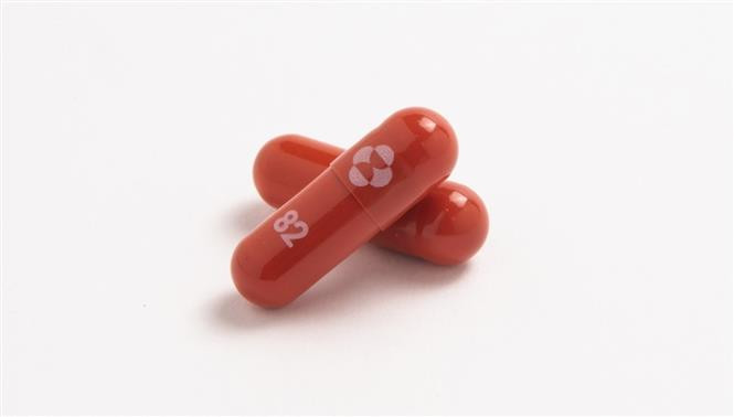 Merck & Co cung cấp thuốc điều trị COVID-19 cho Singapore | Vietnam+ ...