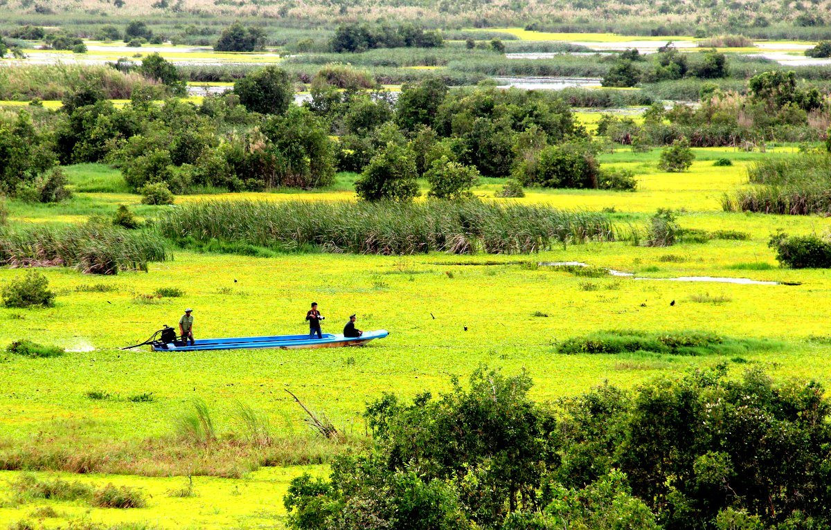 Vườn Quốc gia U Minh Thượng trở thành Khu Ramsar thế giới | Vietnam+ ...