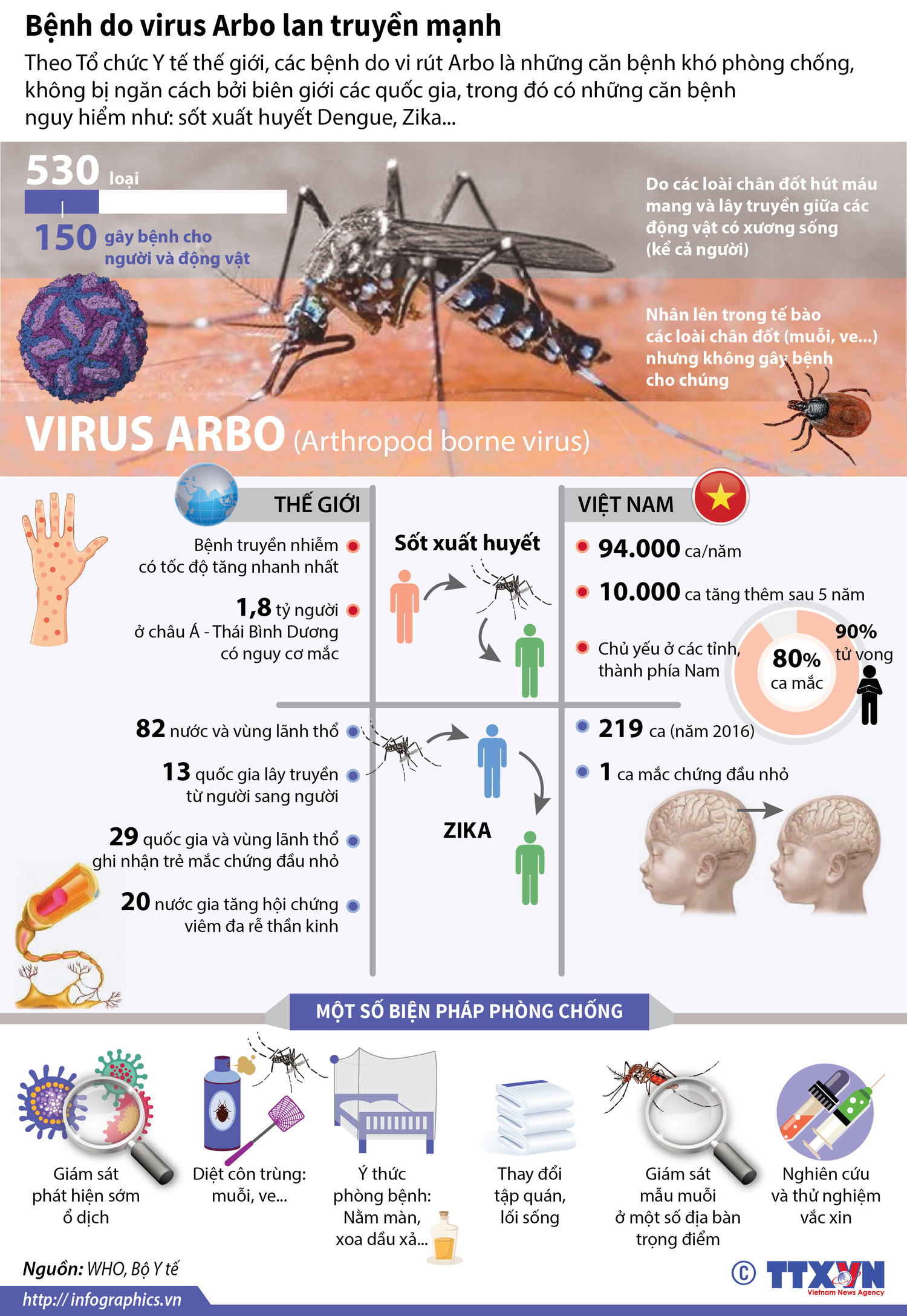 [Infographics] Bệnh do virus Arbo đang lan truyền mạnh | Vietnam+ ...