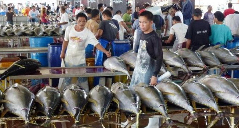 Thái Lan nỗ lực tìm lời giải cho bài toán IUU của EC | Vietnam+ ...