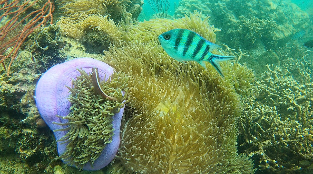 Du lịch Phú Quốc “thất sủng”: Truy tìm "gốc rễ" để đảo ngọc hồi sinh ...