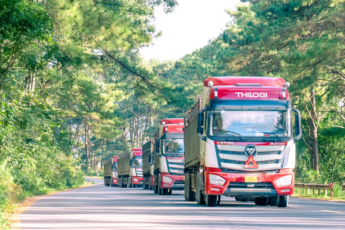 THILOGI nâng cấp chuỗi dịch vụ logistics trọn gói | Vietnam+ (VietnamPlus)