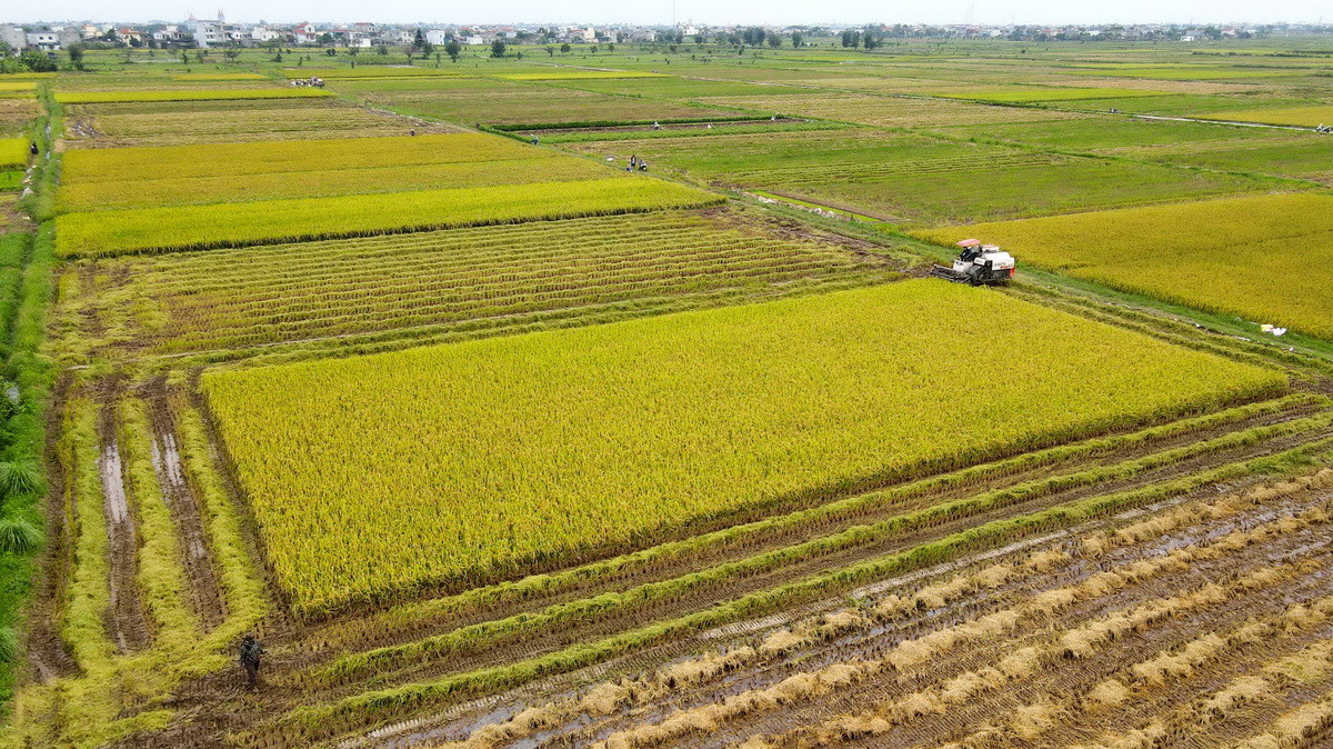 Thái Bình: Đảm bảo an ninh xã hội từ tín dụng chính sách xã hội ...