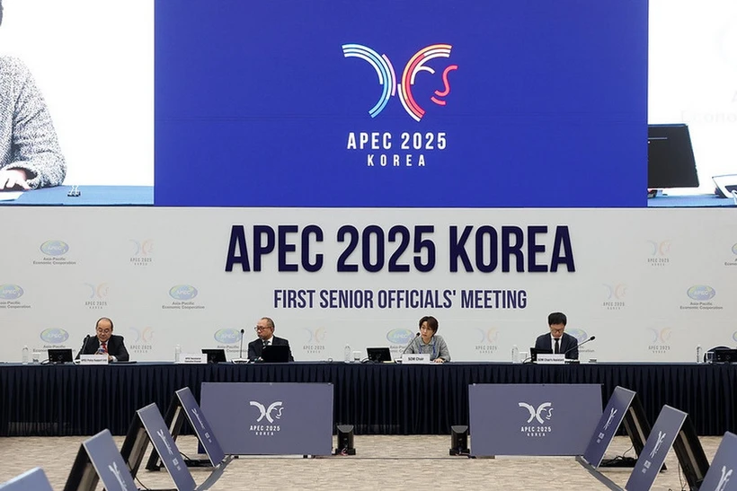Hội nghị SOM 2 APEC 2025 chính thức khai mạc | Vietnam+ (VietnamPlus)